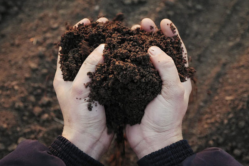 CÁC LOẠI ĐẤT TRỒNG TỐT NHẤT HIỆN NAY - ECOCLEAN VIỆT NAM